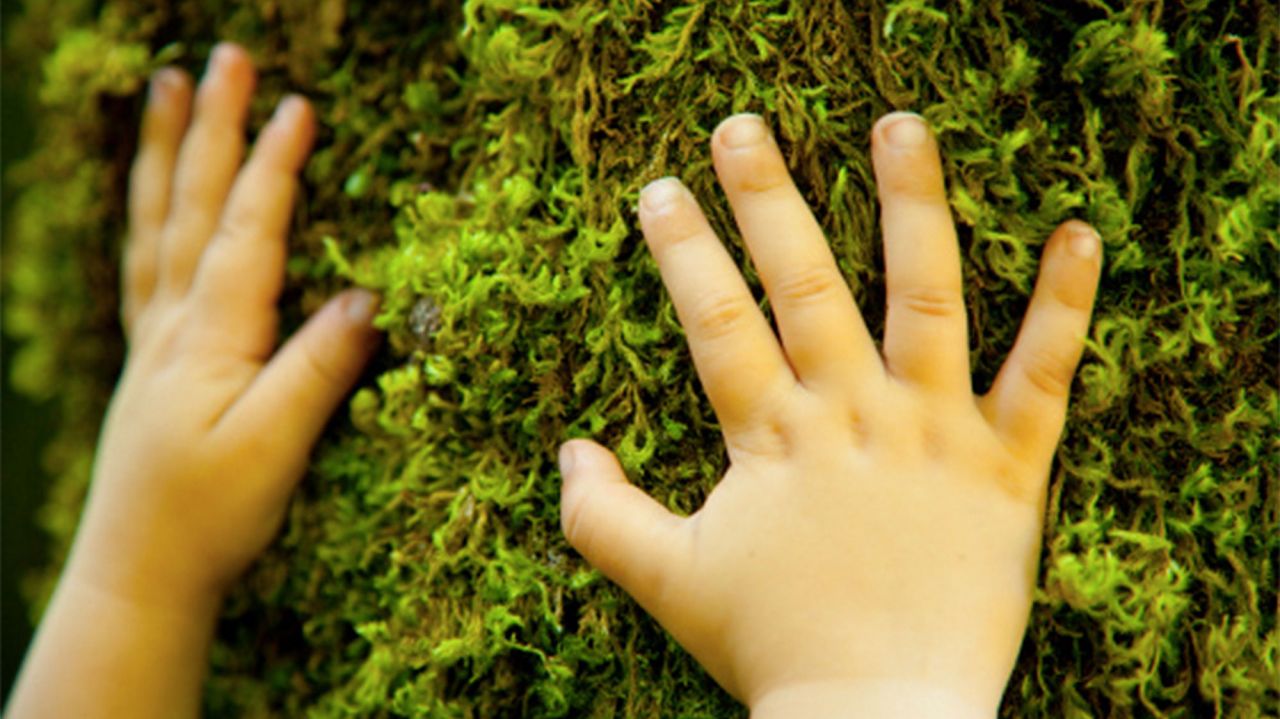 Tastsinn: Fühlen, begreifen und Lernen