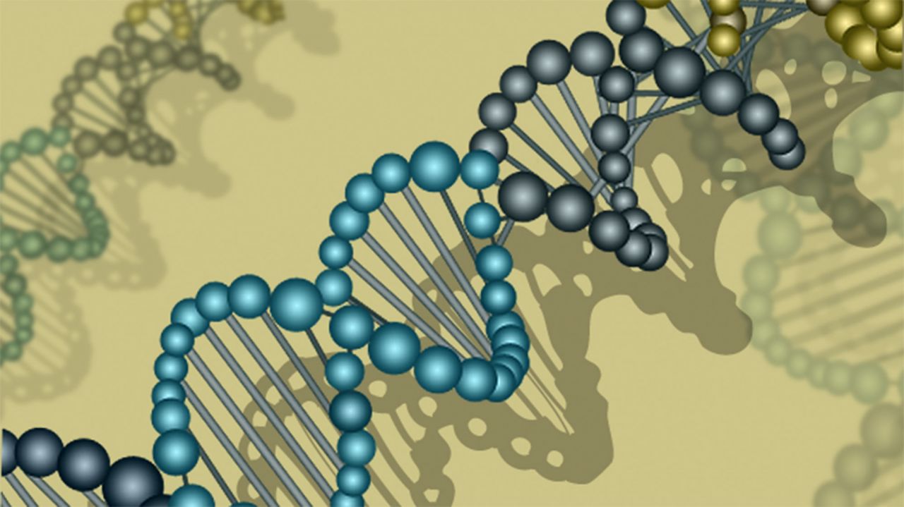 Theory of Mind & Kind: Denken in Entwicklung