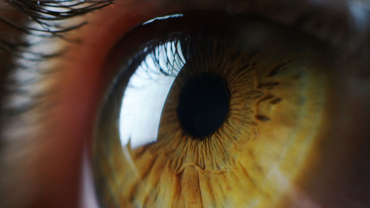 Der Sehsinn – Ein kleines Wunder von Auge bisCortexhes Wunder