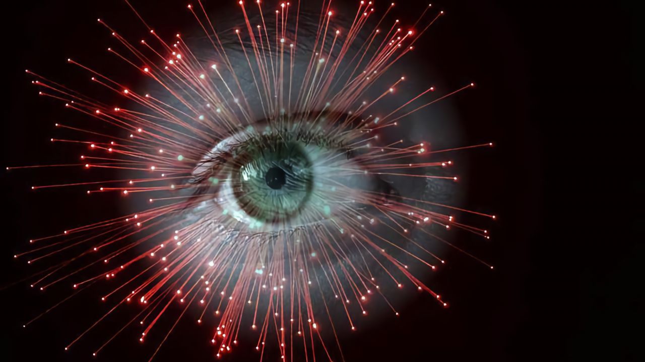 Visuelle Informationsverarbeitung - vom Auge zum Gehirn (Cortex)