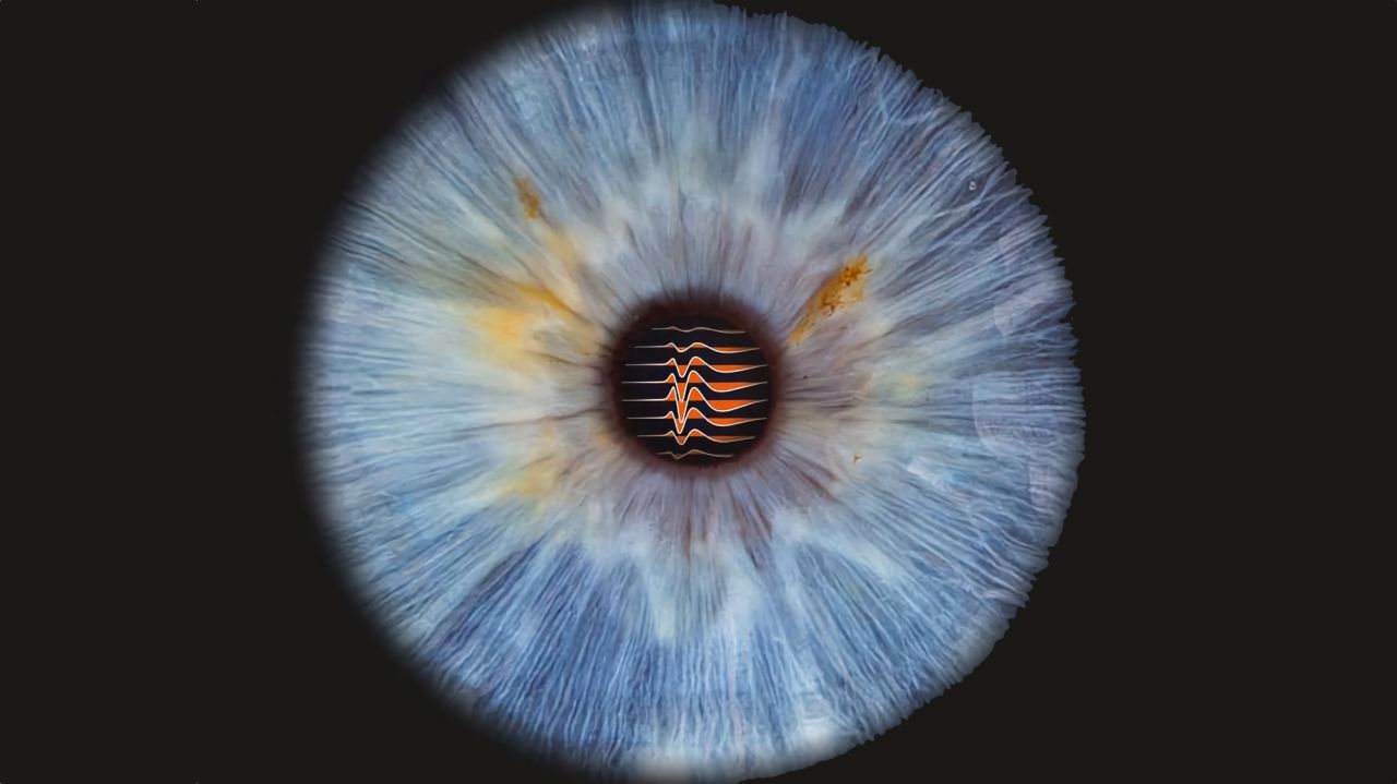 Visuelle Informationsverarbeitung - vom Auge zum Gehirn (Cortex)