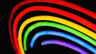 Sehen & Sehbahn: von der Netzhaut ins Gehirn